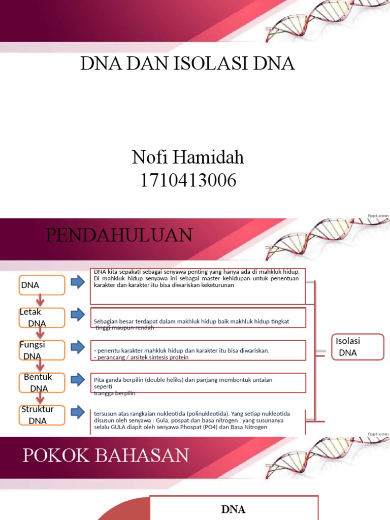 Dna Dan Isolasi-1 | PDF