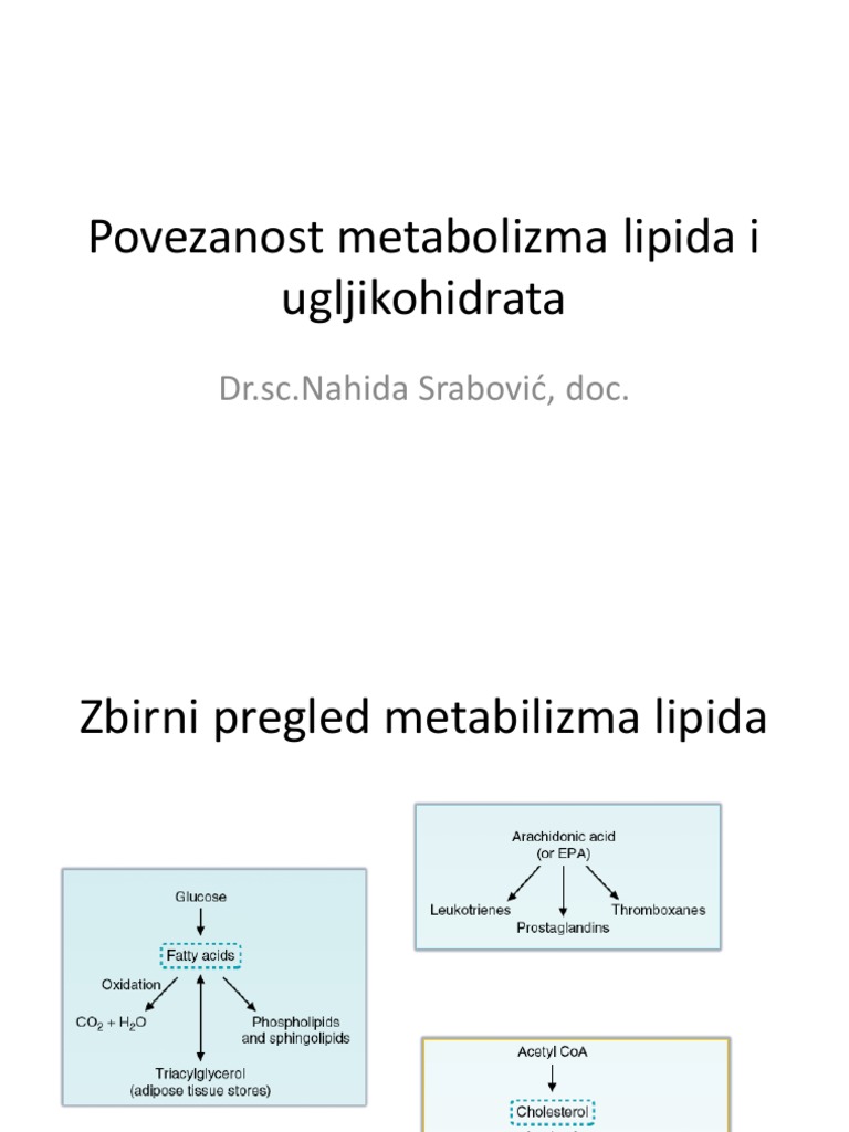 3.povezanost Metabolizma Ugljikohidrata I Lipida | PDF