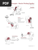 The Janda Approach | PDF | Balance (Ability) | Muscle