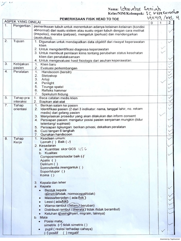 Pemfis Head To Toe | PDF | Cooking, Food & Wine