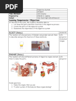 Digestive System Organs Cut Outs | PDF
