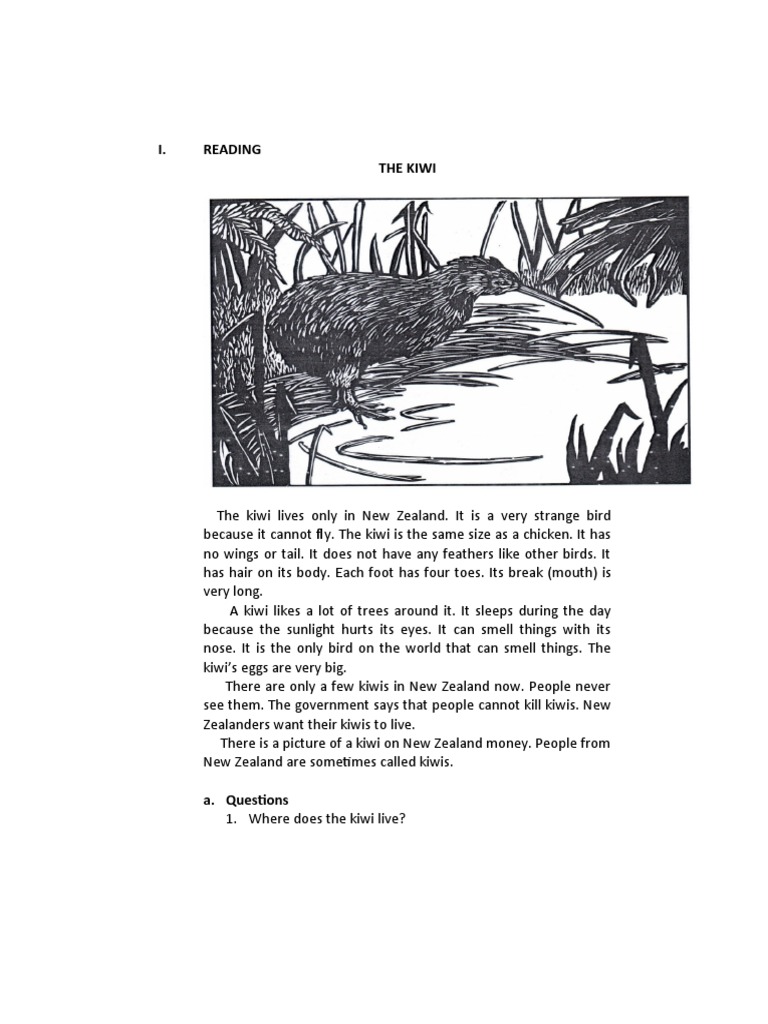 I. Reading The Kiwi | PDF