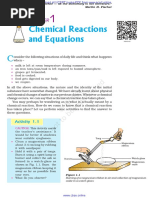 Class_10_Chemistry_Project | PDF | Chemical Reactions | Chemical Substances