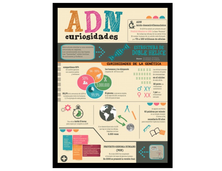 Infografia Adn | PDF