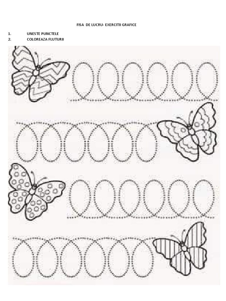 Fise Lucru Ex Grafice Insecte | PDF
