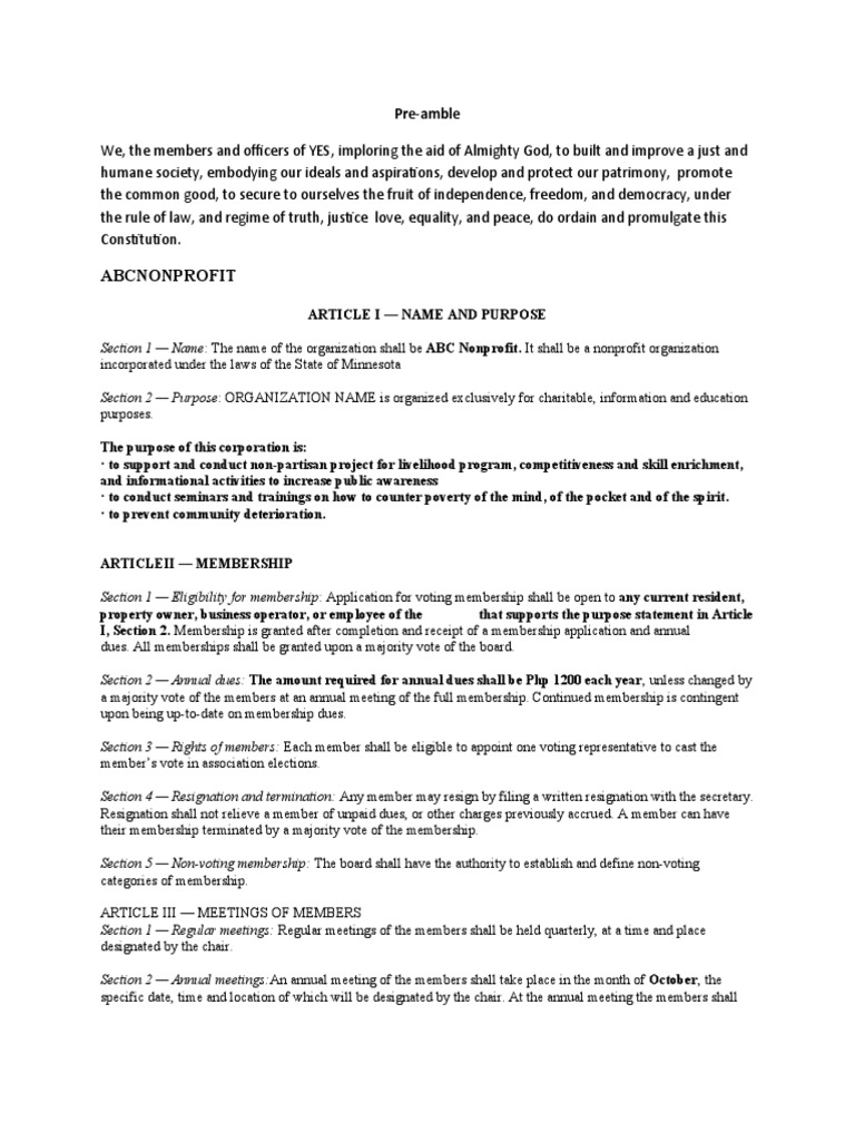 Preamble NGO | PDF | Board Of Directors | Committee