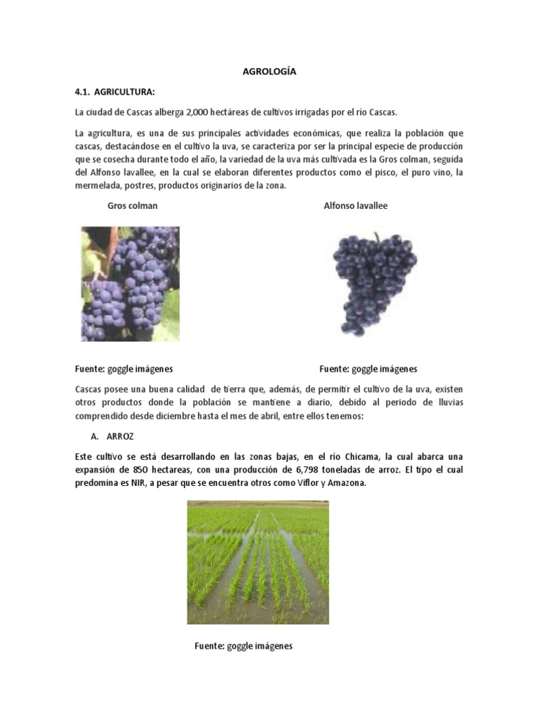 Agrologia 1 | PDF | Riego | Los bosques