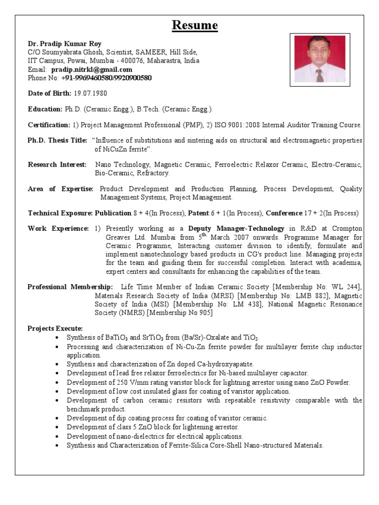 CV Pradip Job | PDF | Zinc Oxide | Materials