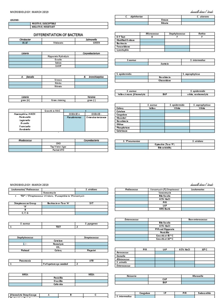 Microbiology Bacterial Differentiation Guide | PDF | Prokaryote | Bacteria