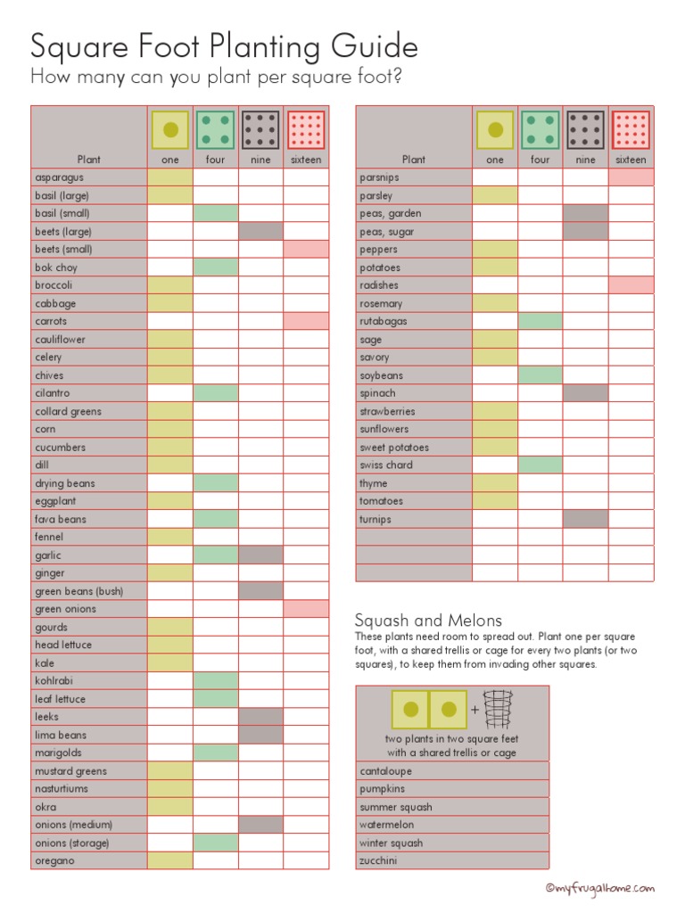Square Foot Planting Guide: How Many Can You Plant Per Square Foot ...
