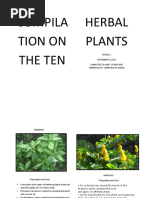 Akapulko: Herbal Uses and Preparations | PDF | Herbalism | Tea