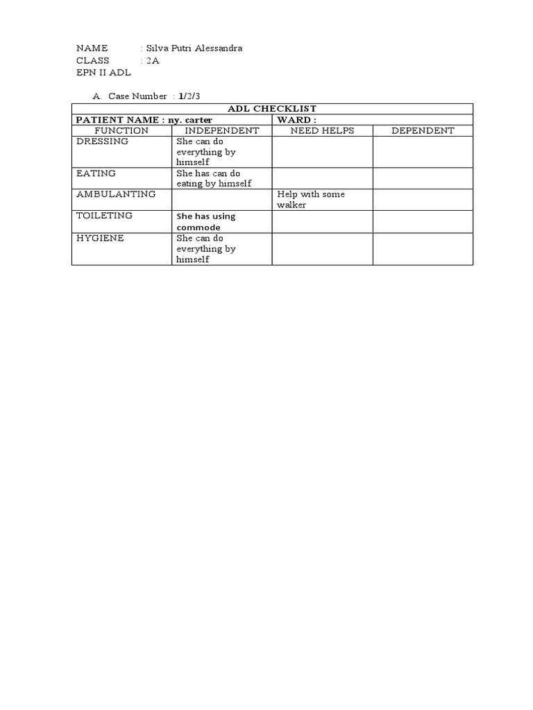 Adl Checklist Silva | PDF