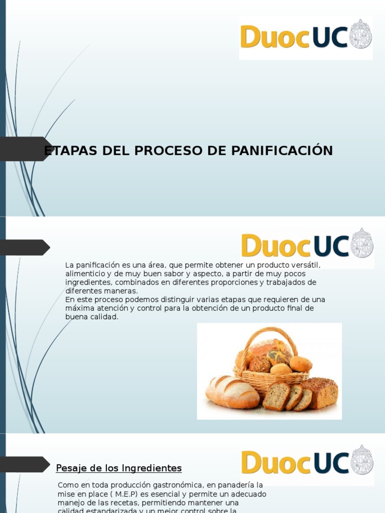 Etapas en La Panificacion | PDF | Panes | Comida y bebida
