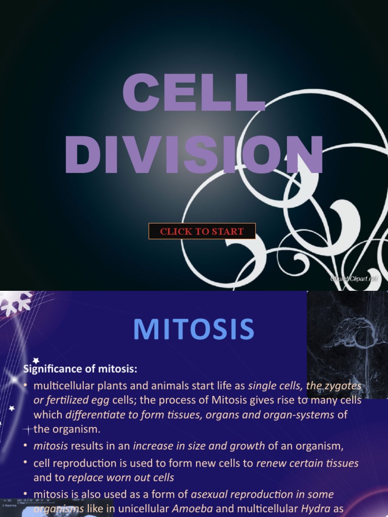 Cell Division: Click To Start | PDF | Nature | Meiosis