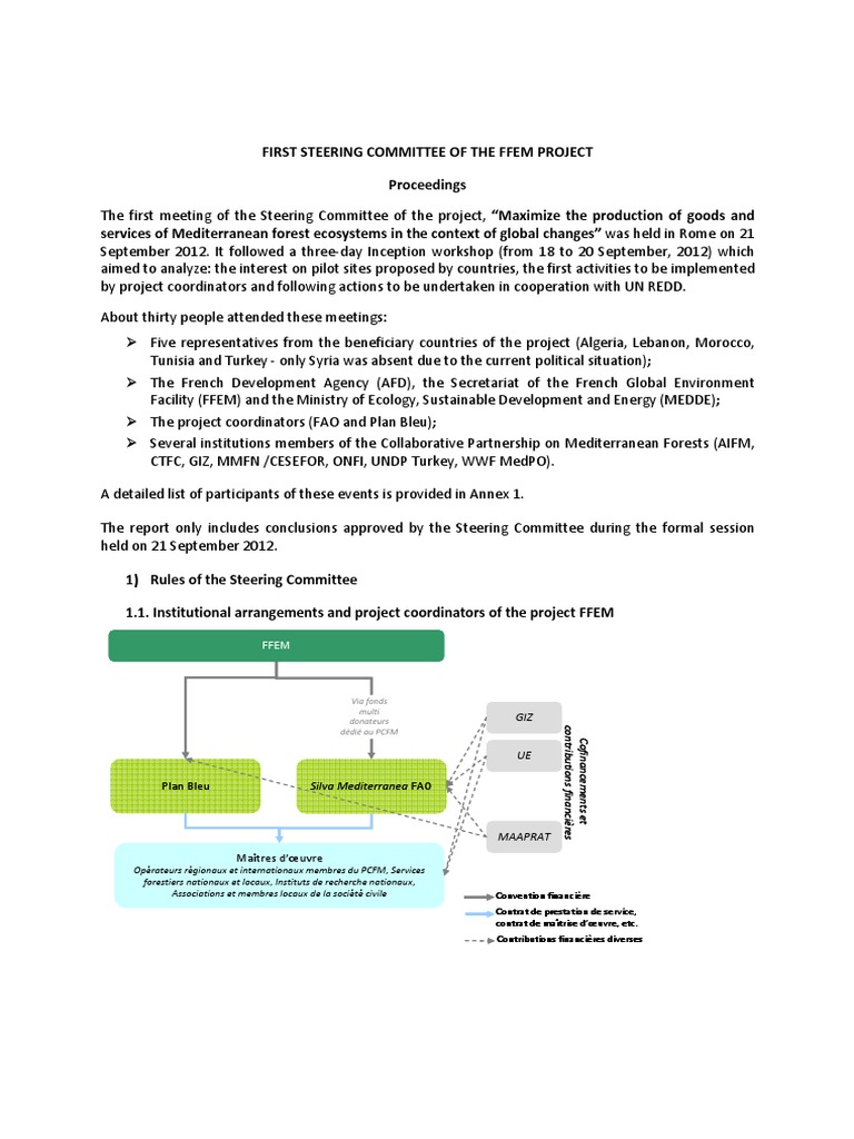 Proceedings FFEM PDF | PDF | Reducing Emissions From Deforestation And Forest Degradation ...