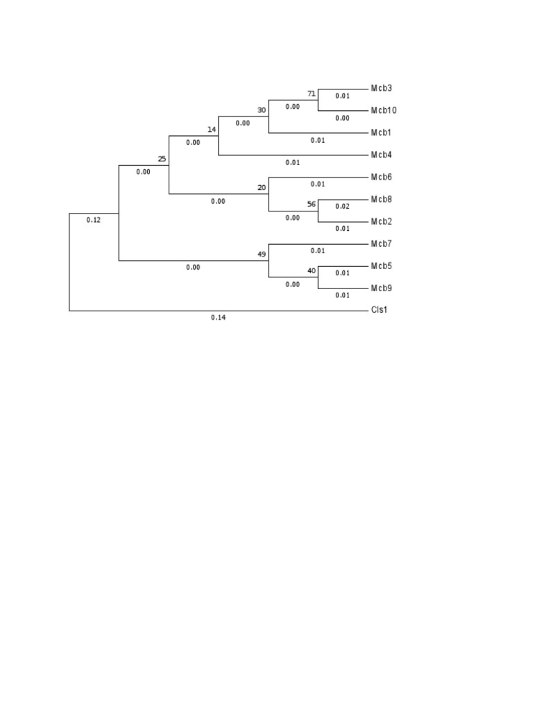 Mcb3 Mcb10 Mcb1 Mcb4 Mcb6 Mcb8 Mcb2 Mcb7 Mcb5 Mcb9 Cls1 | PDF