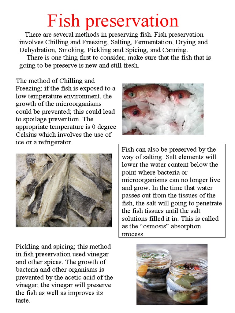 Fish Preservation | PDF | Food Preservation | Foods