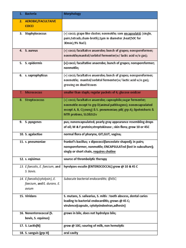Bacteria Table Print | PDF | Streptococcus | Bacillus