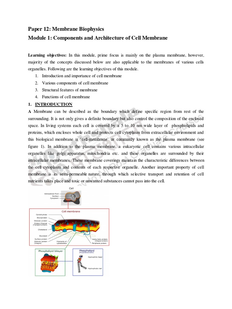 Paper 12: Membrane Biophysics Module 1: Components and Architecture of ...