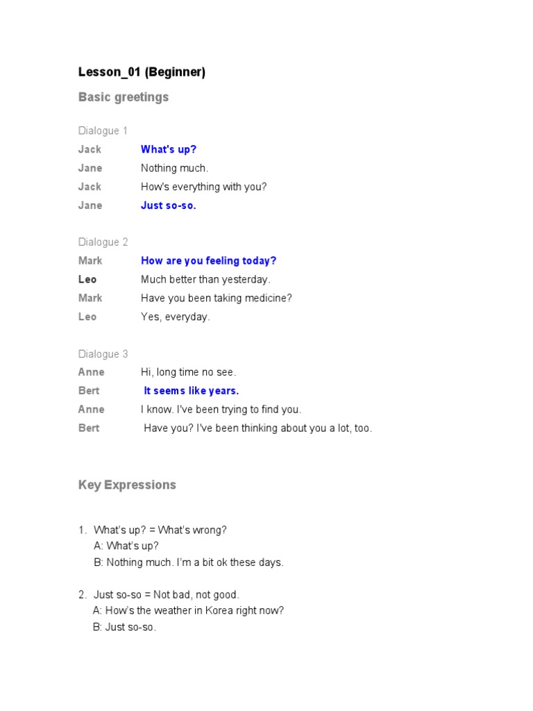 Beginner English: Basic Greetings Guide | PDF