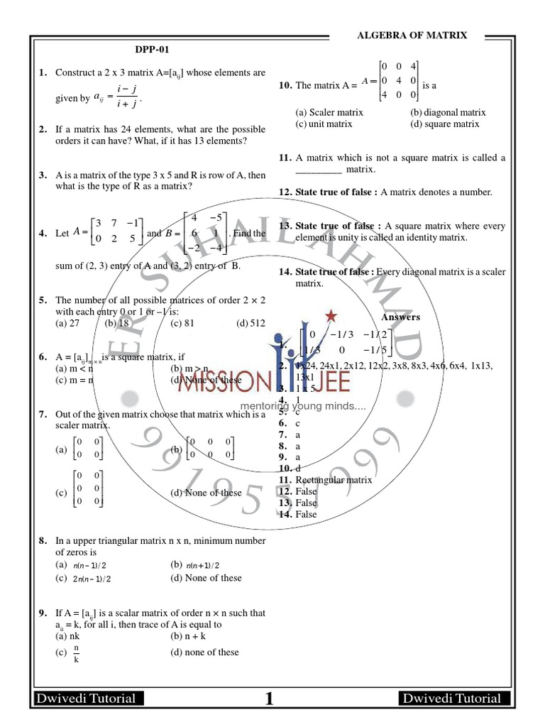 Matrix DPP-01 | PDF | Matrix (Mathematics) | Functional Analysis