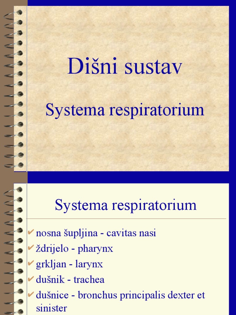 dišni sustav.ppt | PDF