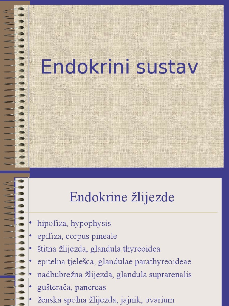 Endokrina | PDF