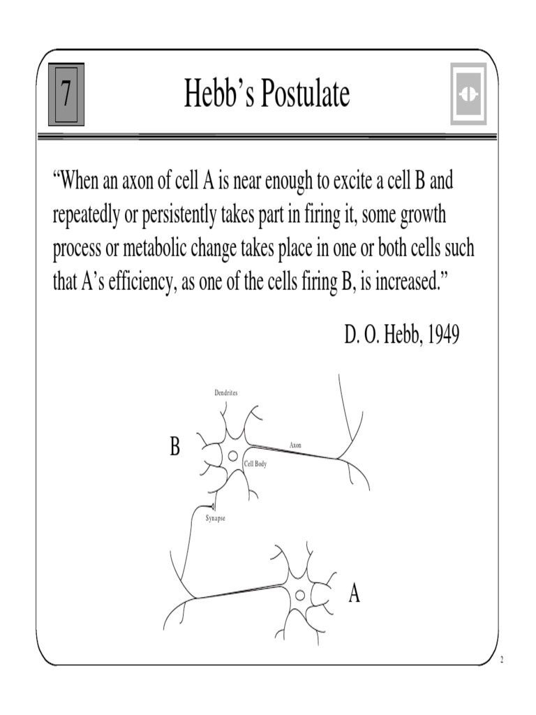 Hebb's Postulate: Dendrites | PDF | Synapse | Applied Mathematics
