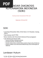 SDKI | PDF