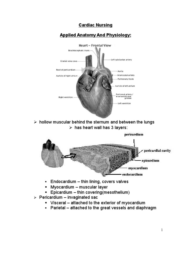 Cardiac Nursing | Download Free PDF | Heart Valve | Diastole