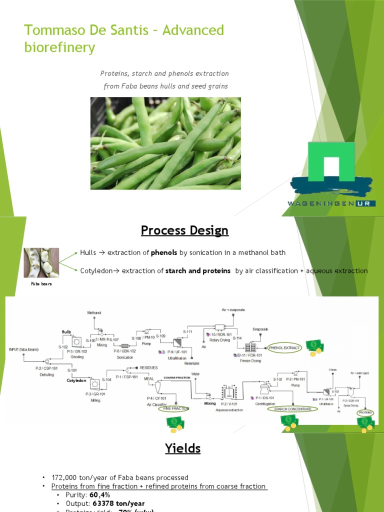 Maximizing Value from Faba Bean Biorefinery Through Extraction of Proteins, Starch, and Phenols ...
