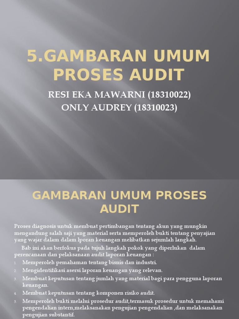 5.gambaran Umum Proses Audit | PDF