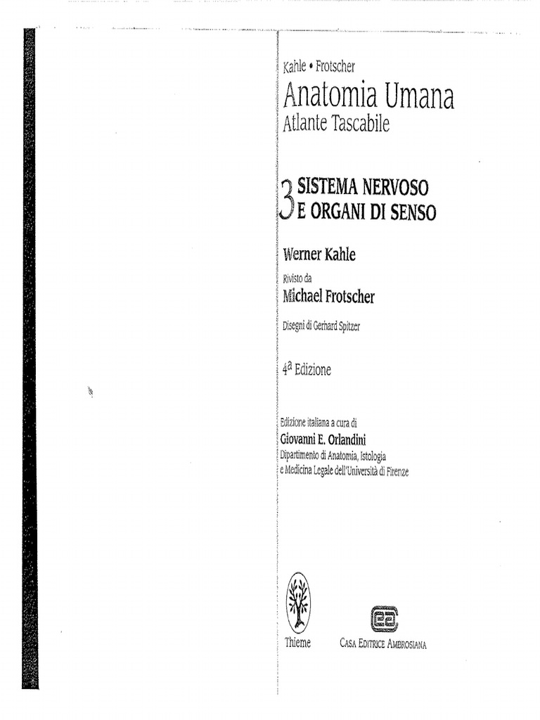 Anatomia 3 PDF | PDF