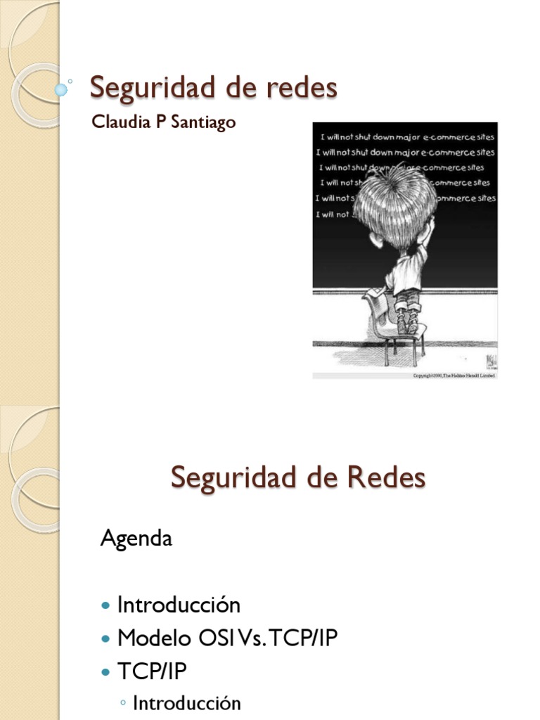 Seguridad redes TCP/IP | PDF | Cortafuegos (informática) | Protocolos ...