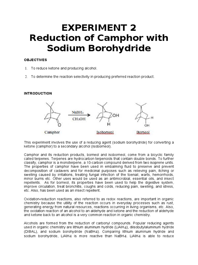 Experiment 2 Reduction of Camphor With Sodium Borohydride: Objectives ...