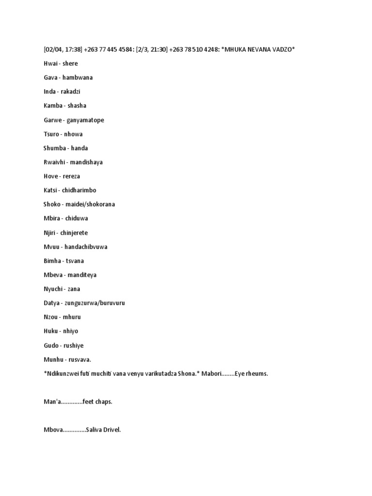 Animals and Young Ones PDF Animals And Humans Nature