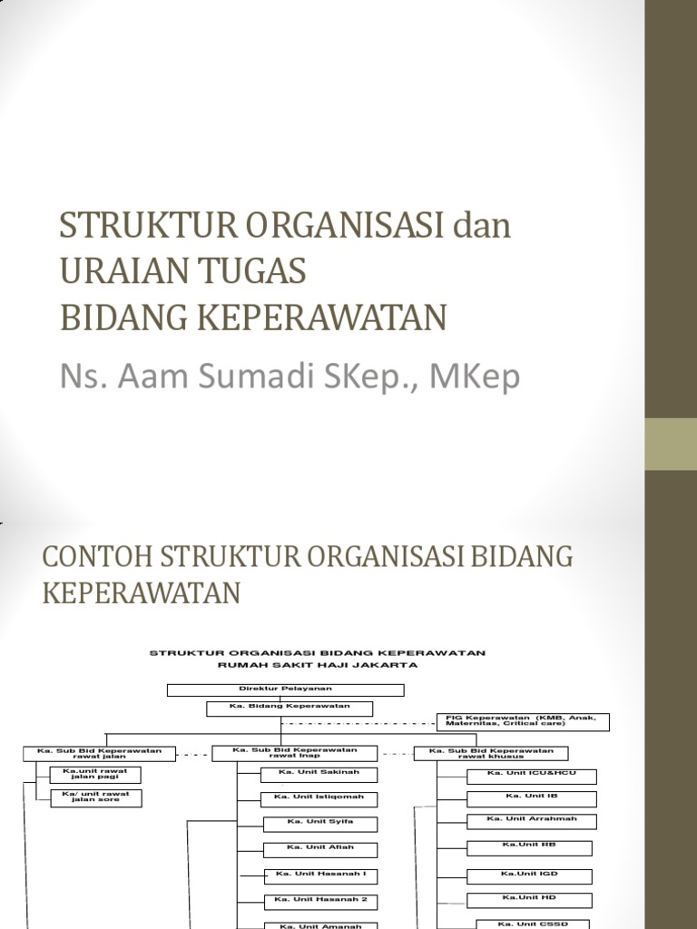 Struktur Organisasi Dan Uraian Tugas Keperawatan | PDF