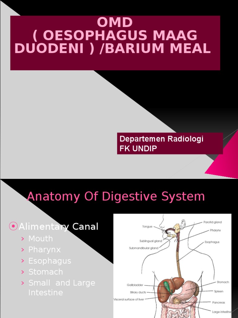 OMD Barium Meal Examination Overview | PDF | Stomach | Esophagus