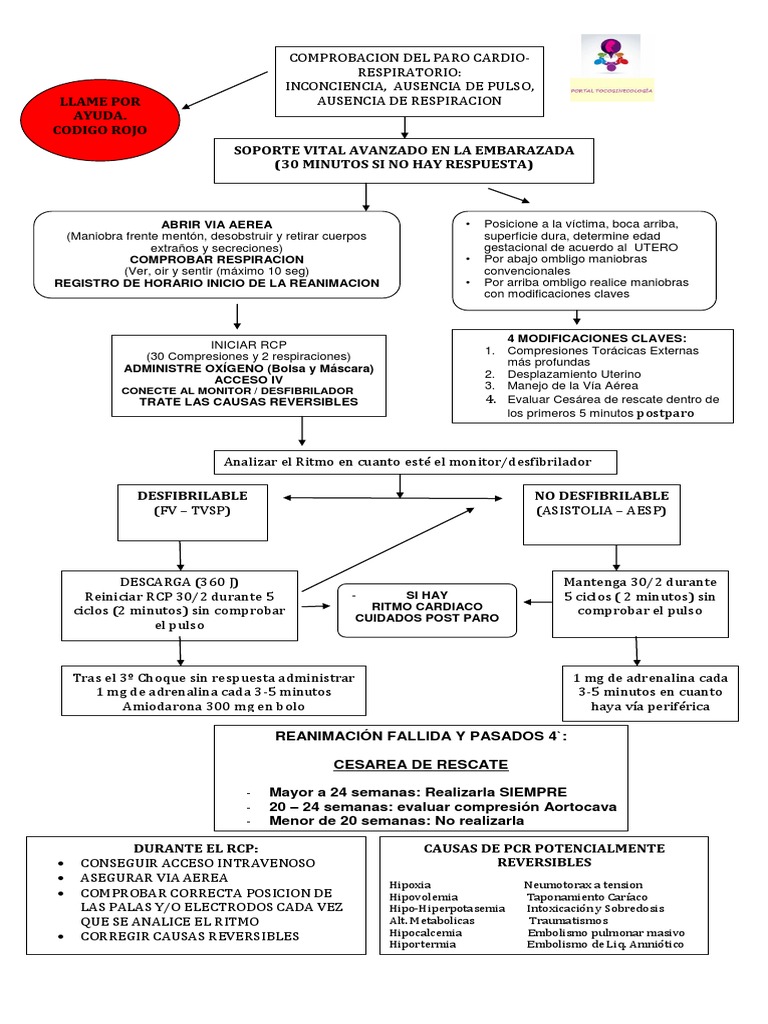 Algoritmo SVA Embarazada PDF | PDF | Reanimación cardiopulmonar | Sistema cardiovascular