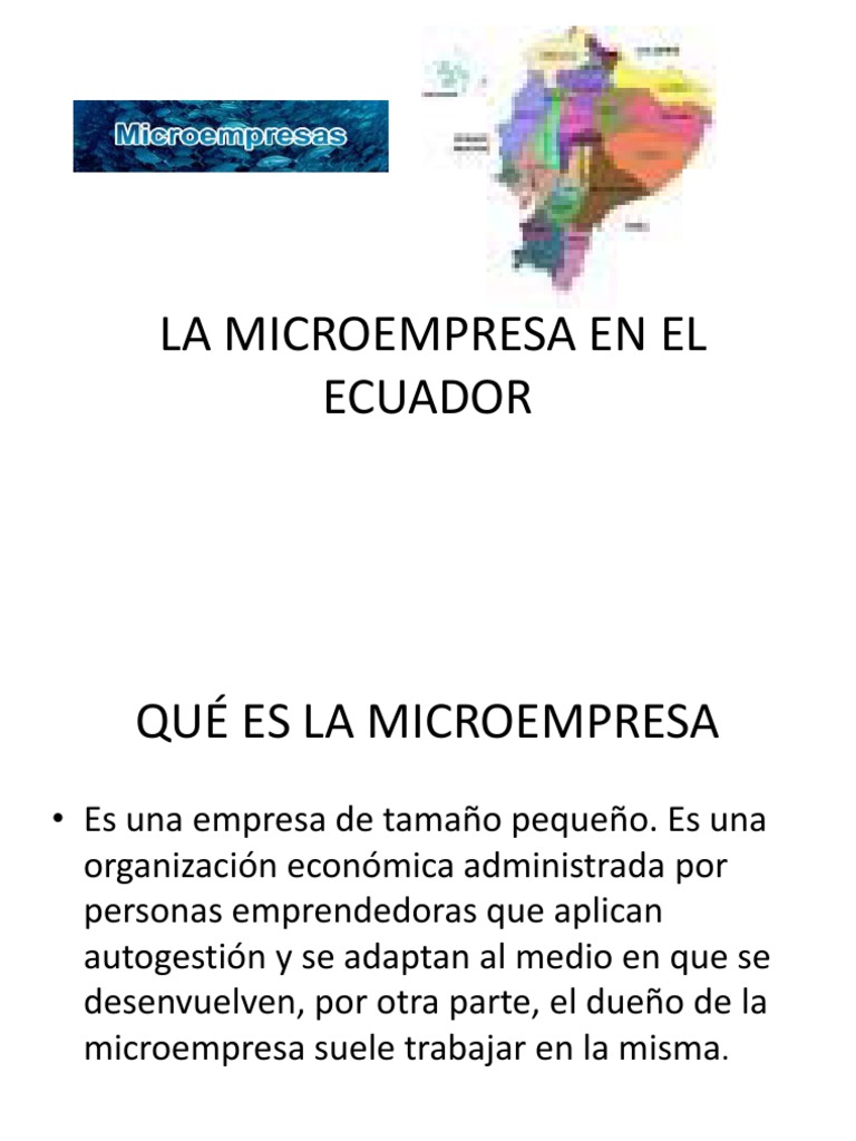 La Microempresa En El Ecuador | Pequeñas y medianas empresas | Economias