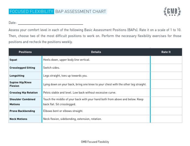 Bap Assessment Chart: Focused Flexibility | PDF