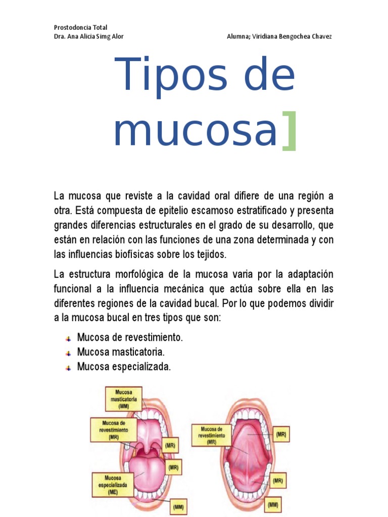 Tipos de mucosa bucal y su función | PDF | Membrana mucosa | Epitelio