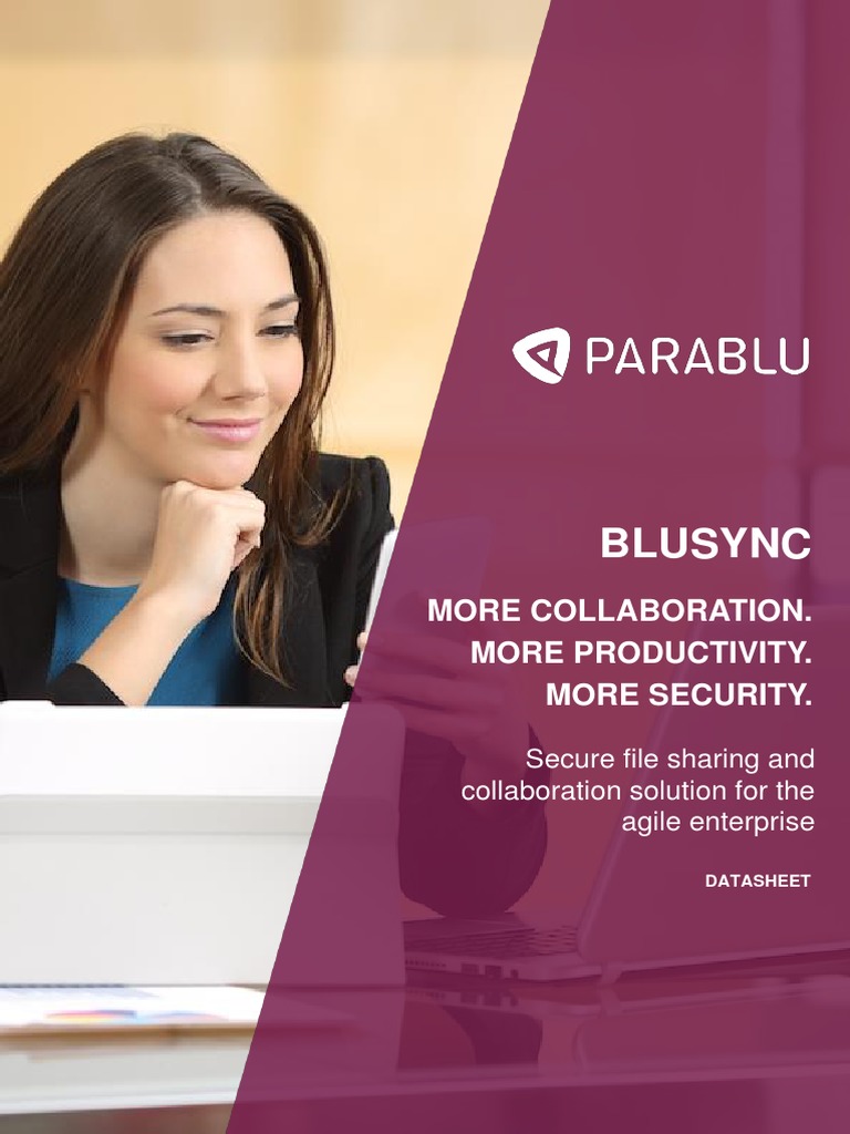Blusync: More Collaboration. More Productivity. More Security | PDF | Cloud Computing | Computer ...