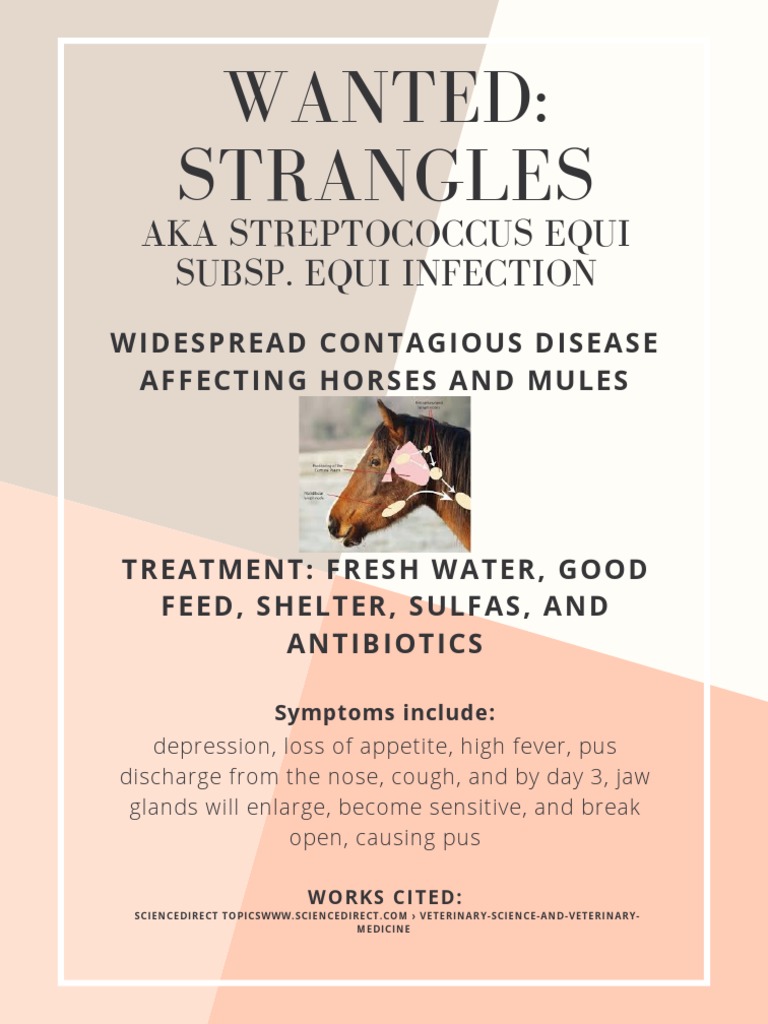 Wanted Strangles | PDF