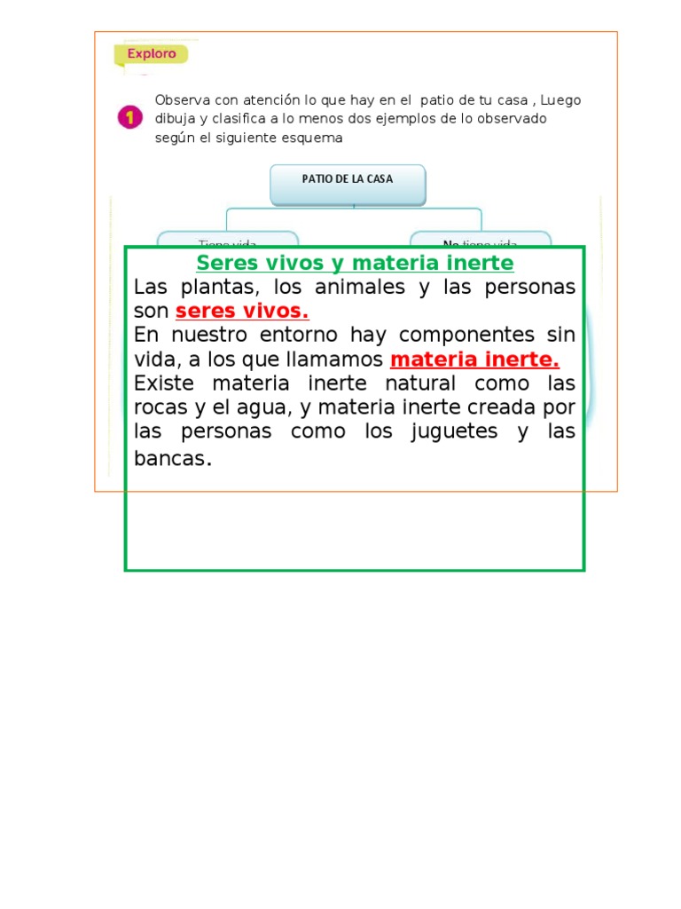 Materia Inerte y Seres Vivos | PDF