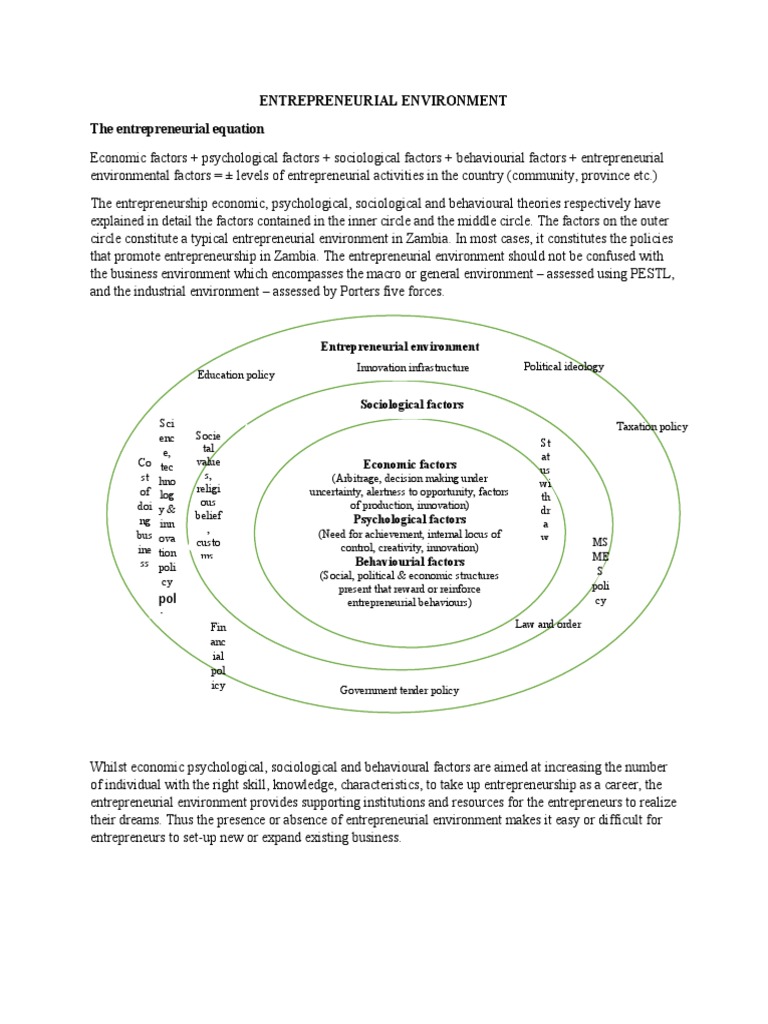 Entrepreneurial Environment | PDF | Entrepreneurship | Sociology