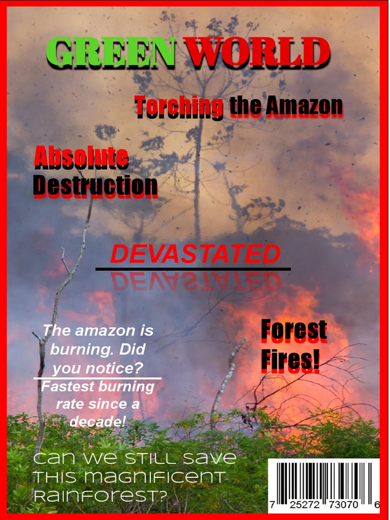 The Devastating Impact of Rampant Deforestation in the Amazon: Can We ...