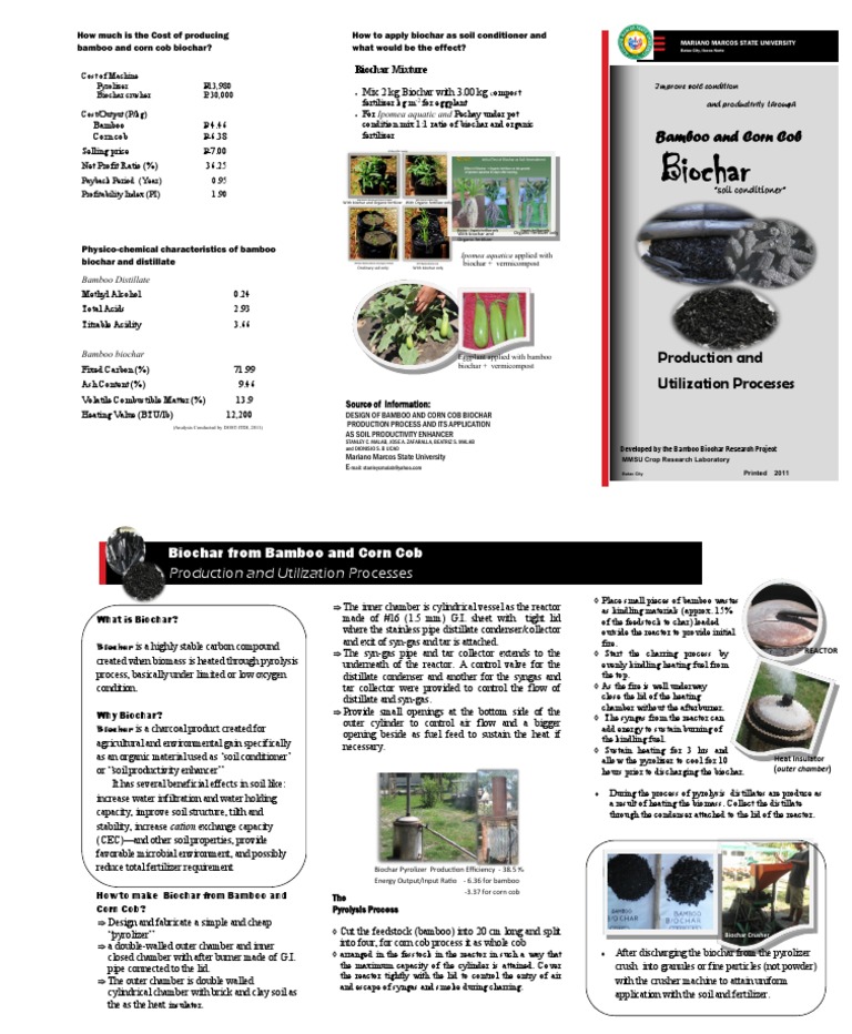 Biochar: Bamboo and Corn Cob | PDF | Pyrolysis | Energy Technology