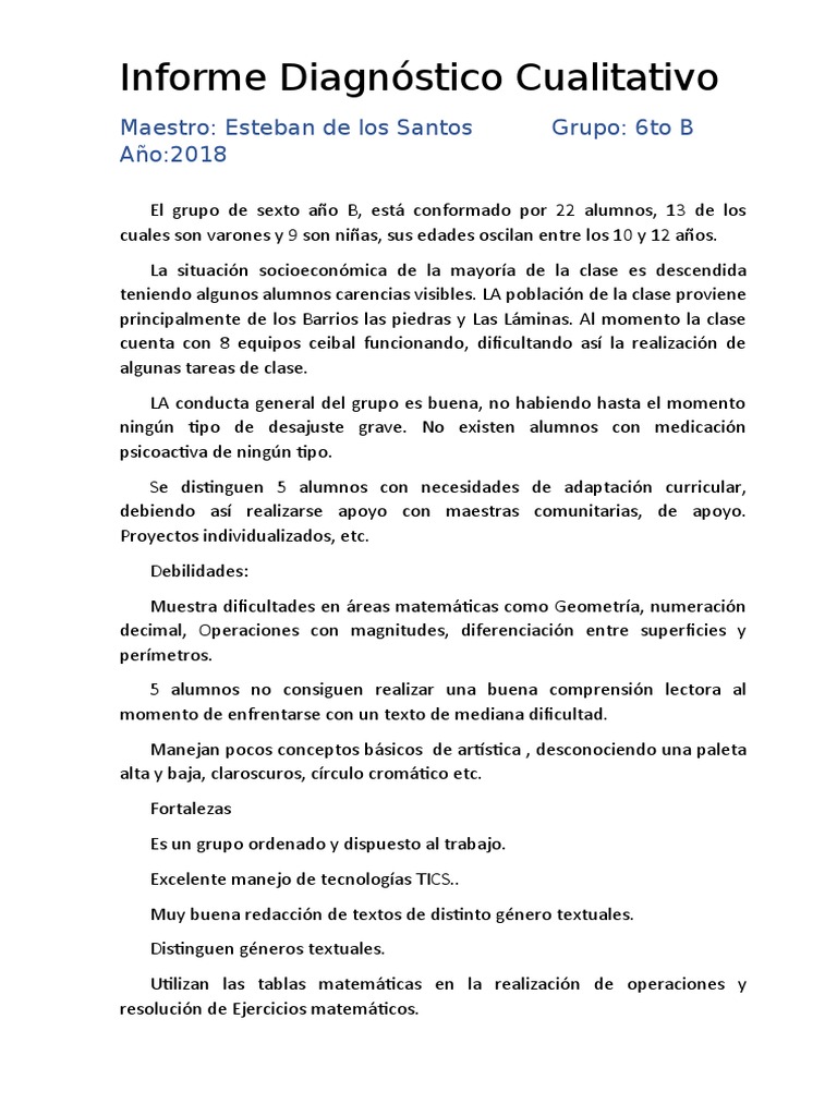 Informe Diagnóstico Cualitativo | PDF