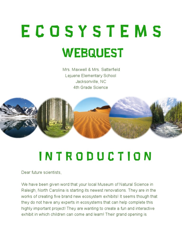 Ecosystem Webquest | PDF | Museum | Microsoft Power Point